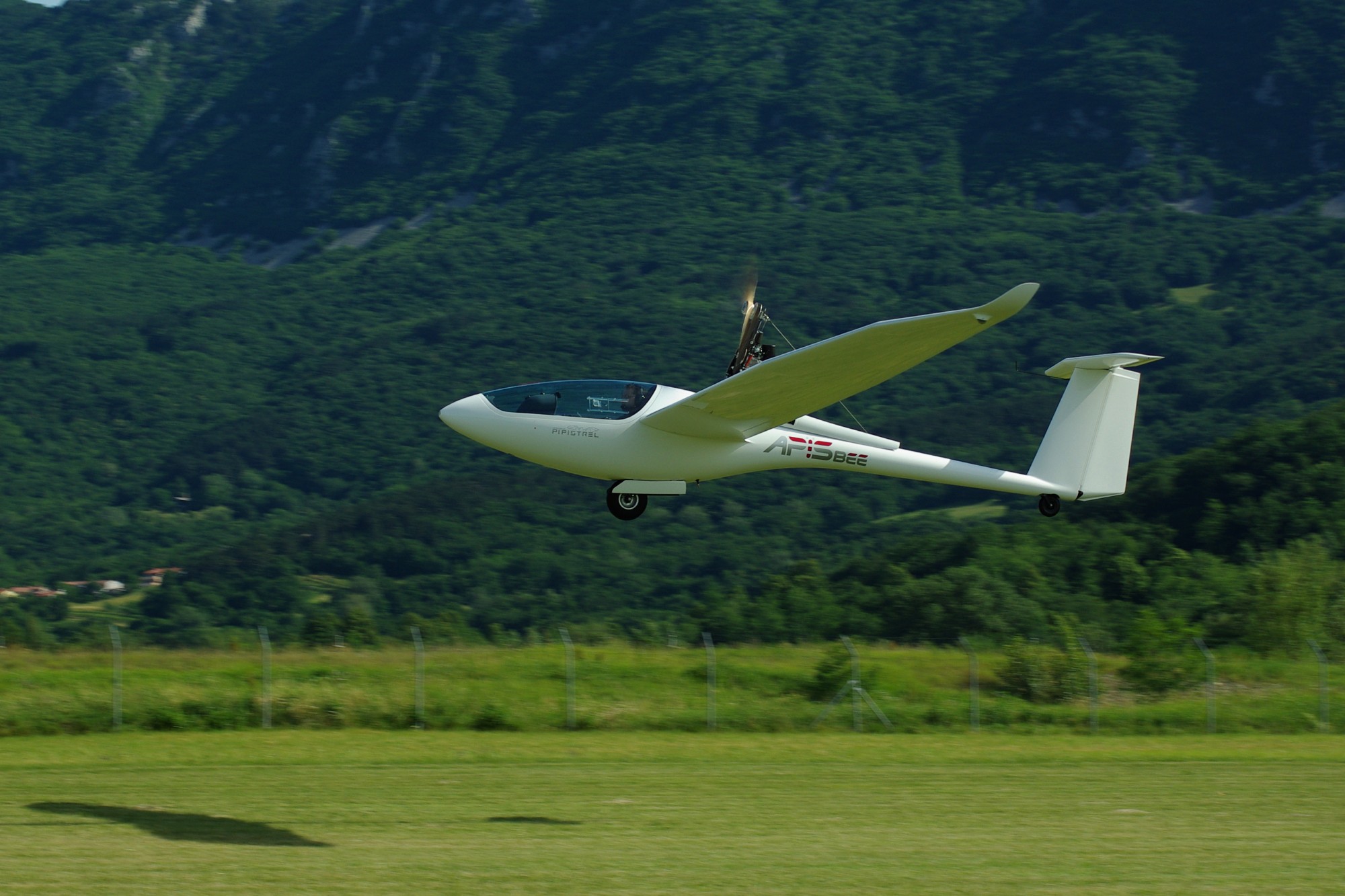 Pipistrel Apis SLMG with Trailer | afors advert No46554